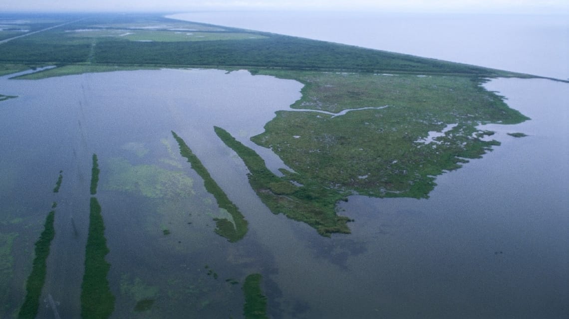 Cutting Wetland Restoration a “No Go” Zone - environment coastal & offshore