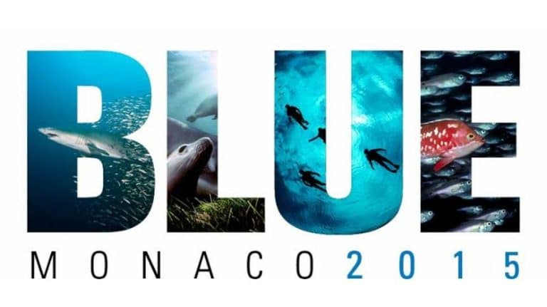 BLUE Ocean Film Festival Hosting Ocean All-Stars - environment coastal ...
