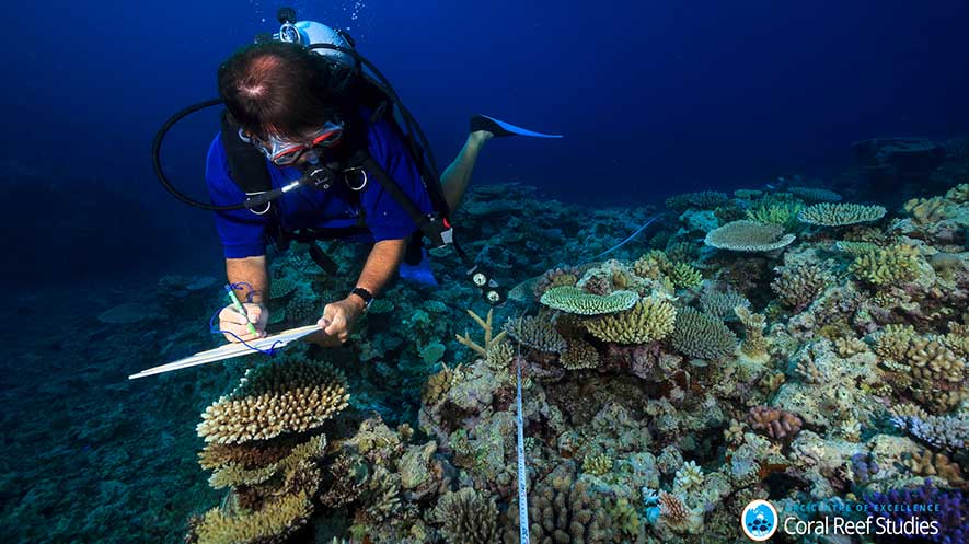 Bleaching Devastates Great Barrier Reef - environment coastal & offshore