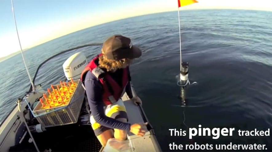 Swarm of Underwater Robots Mimics Plankton Life - environment coastal ...