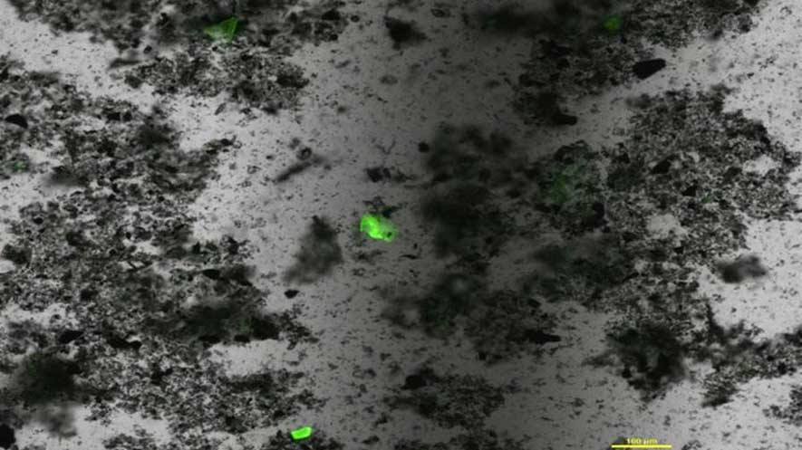 Undetected Ocean Microplastics Could be Identified with Dye ...
