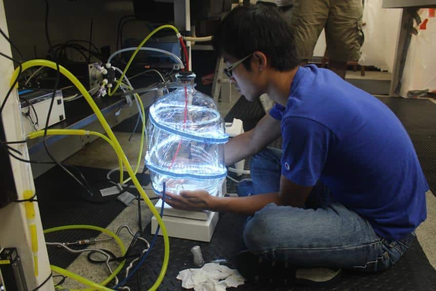 Coastal Waters Are Unexpected Hotspots for Nitrogen Fixation ...