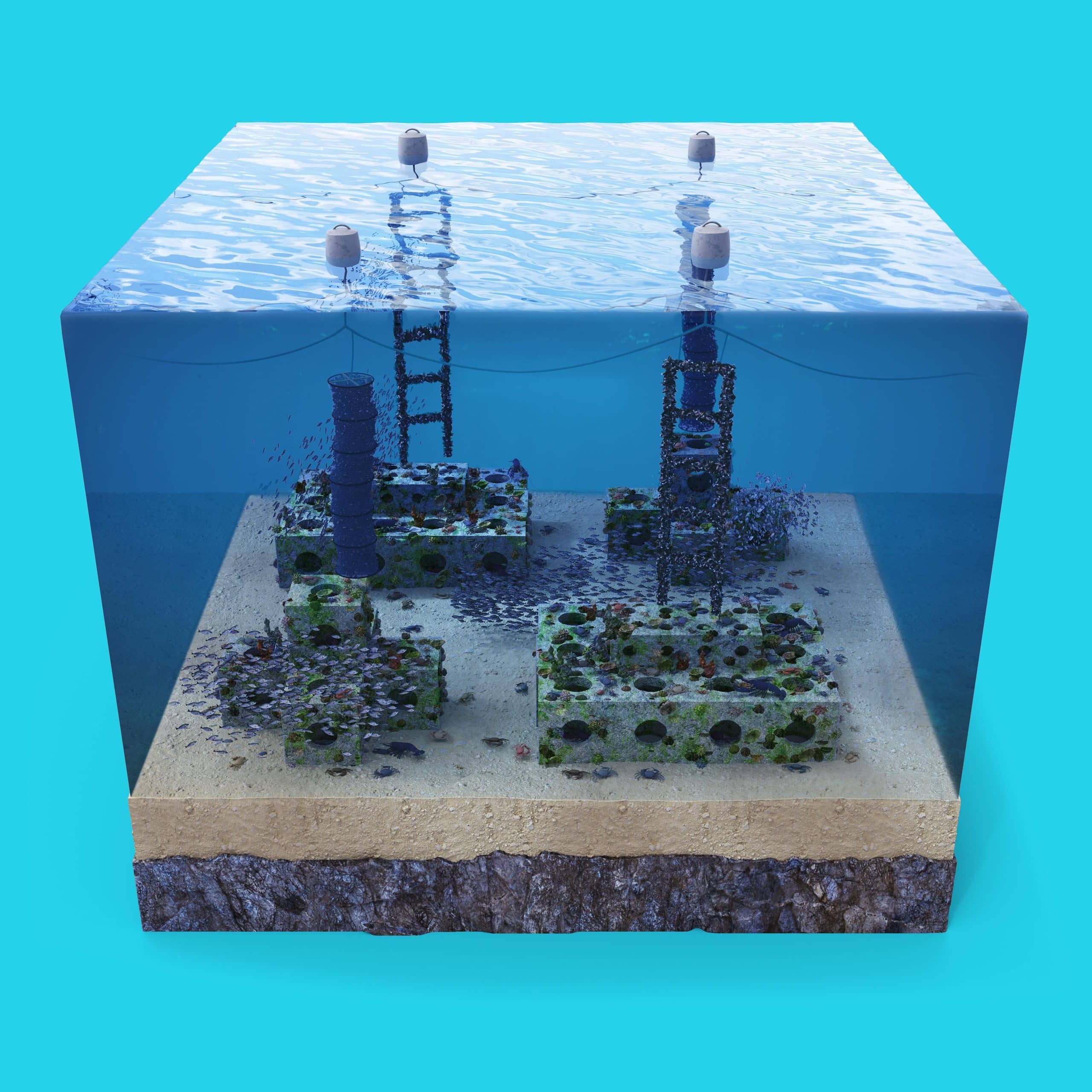 Marine-i Grant Will Accelerate Development of Innovative Artificial ...