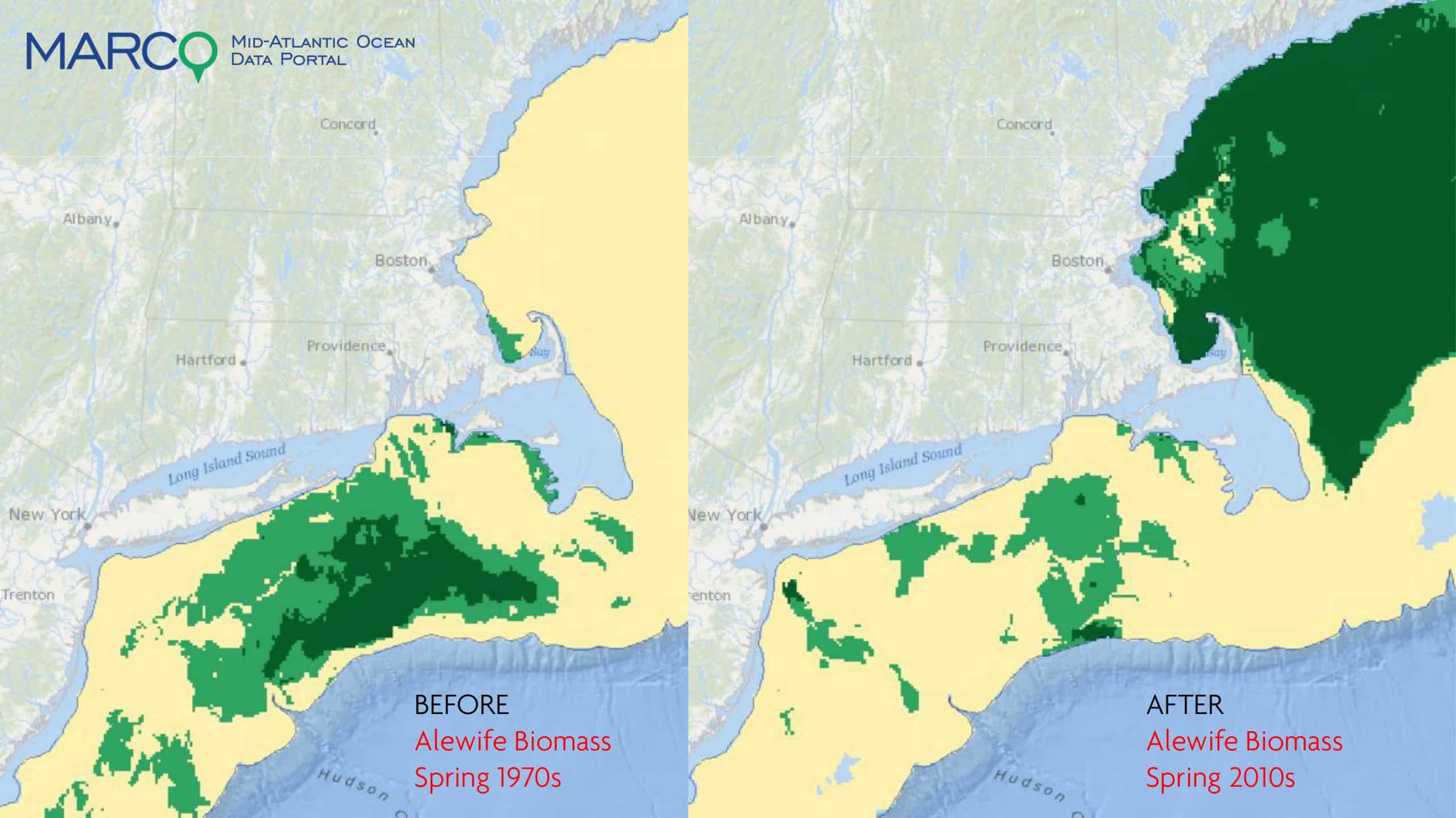 Ocean Data Portal Maps Show Significant Shifts by Mid-Atlantic Fish ...
