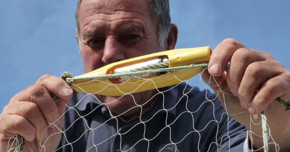 Pingers' Could Save Porpoises from Fishing Nets - environment coastal ...