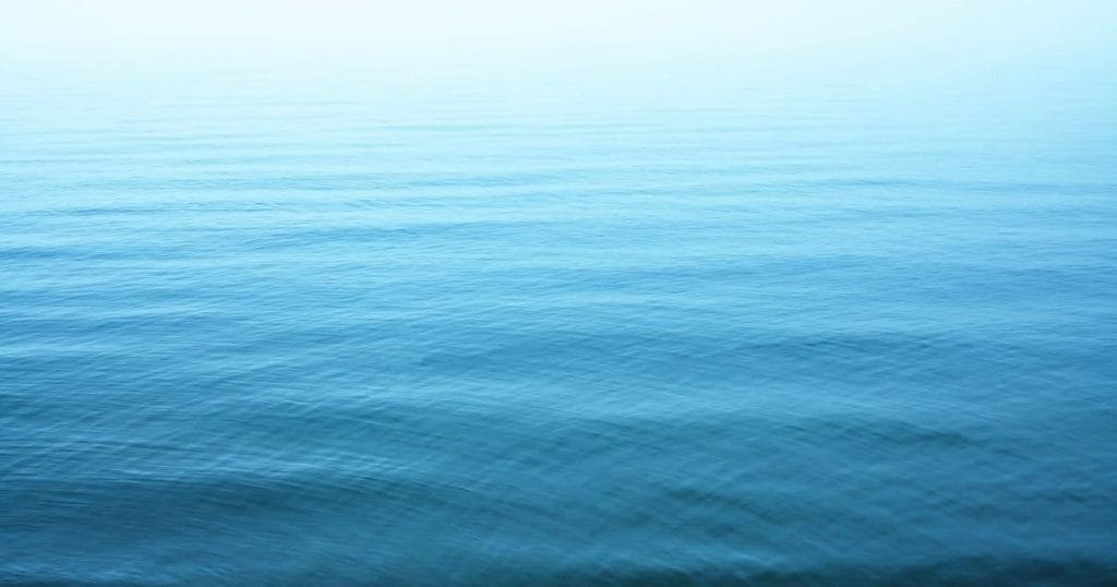 What Tiny Surfing Robots Teach Us About Surface Tension - environment ...