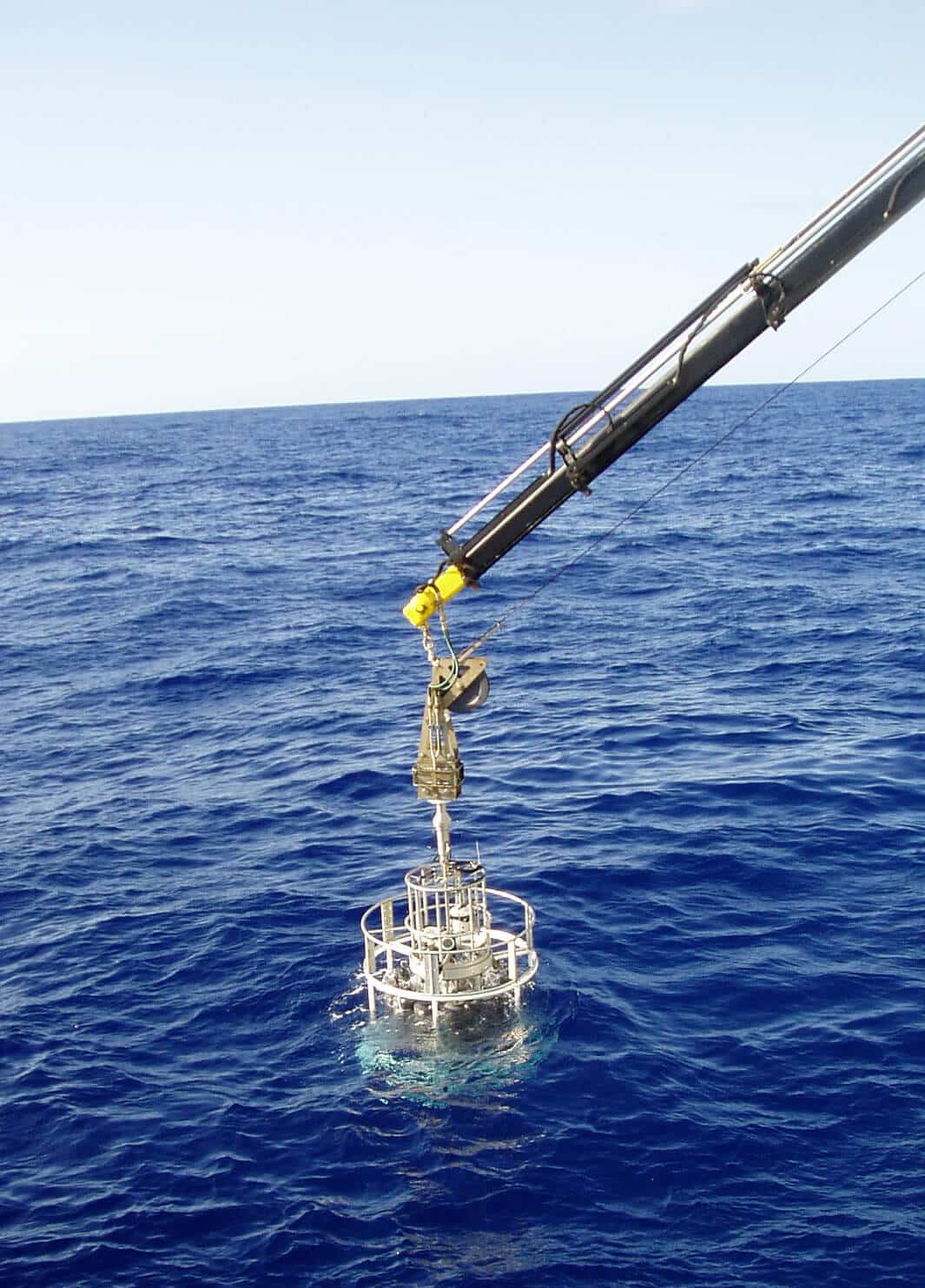 A Globally Important Microbial Process Hidden on Marine Particles ...