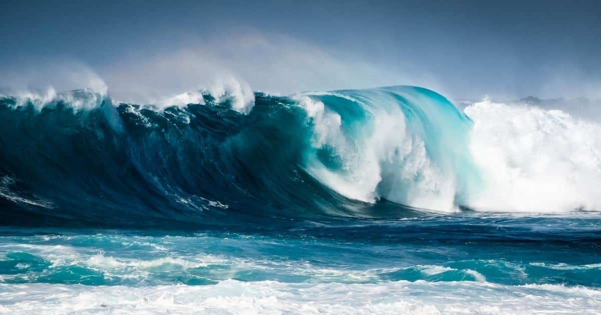 Eco Wave Power and Ocean Power Technologies Announce Collaboration to ...