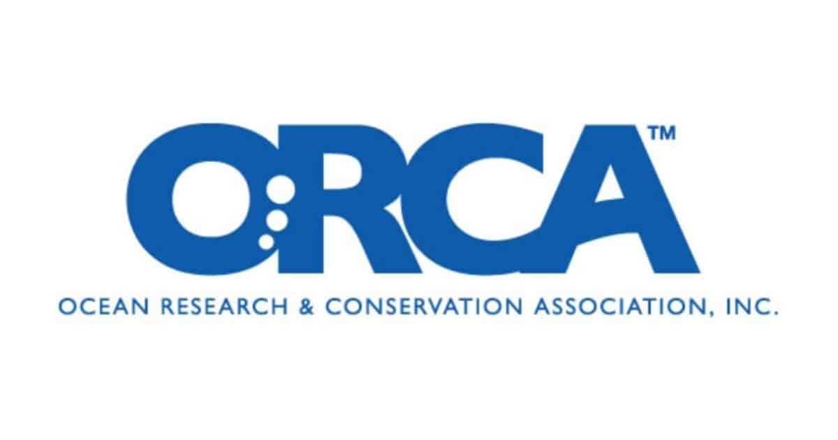 Internship at the Ocean Research & Conservation Association ...