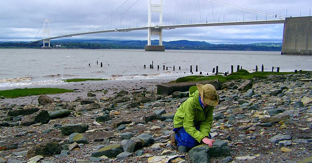 Microplastic Pollution Lingers in Rivers for Years Before Entering ...