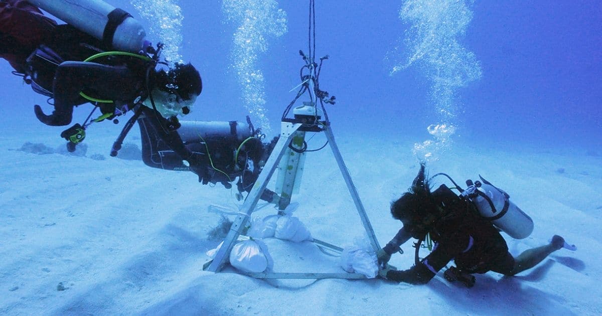 Colombia Deploys Nortek Ocean Sensors for Improved Hurricane ...