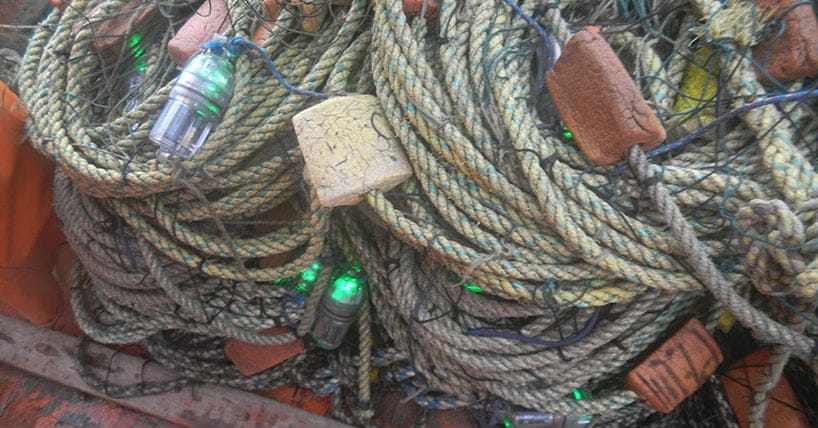 Reducing Bycatch With Sensory Deterrents - environment coastal & offshore