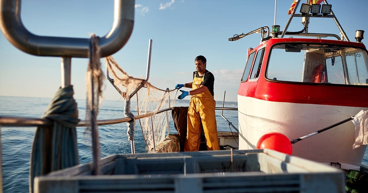 To Save the Mediterranean Sea, Its People are Uniting - environment ...