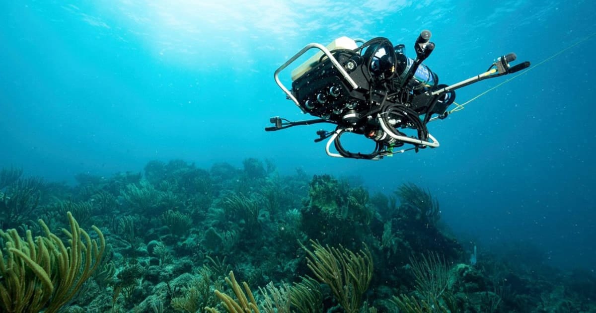 Toward a New Era of Reef Solutions - environment coastal & offshore
