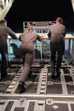Rehabilitated Hawaiian Monk Seals Return to Kuaihelani - environment ...