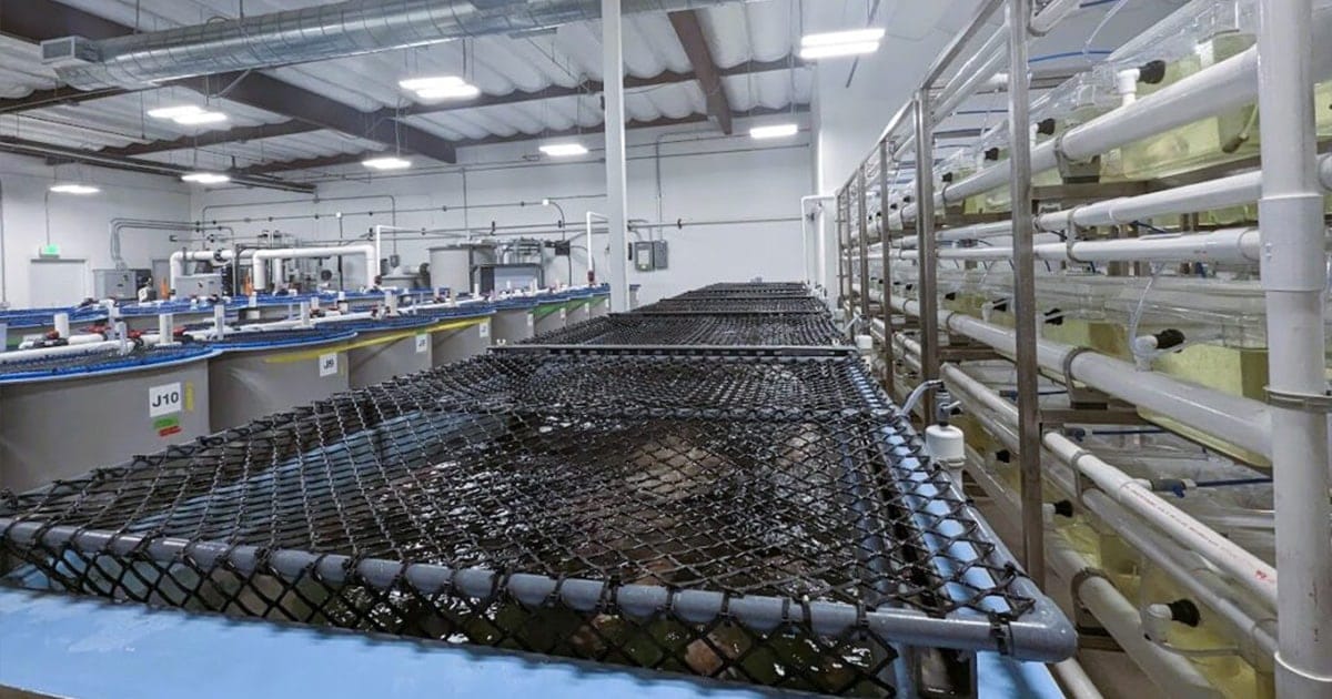 CAT Invests in the Future of Genetics and Genome Editing - environment ...