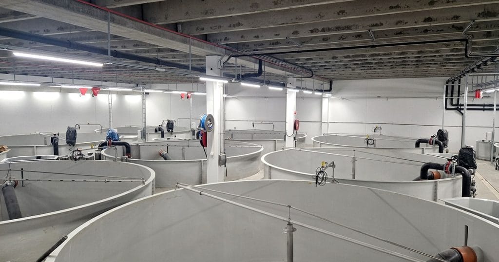 ENTEC Brimer Signs Soul of Japan Agreement for Salmon Facility ...