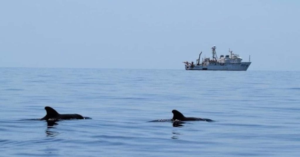 A Survey Collecting Information for Restoration in the Gulf of Mexico ...