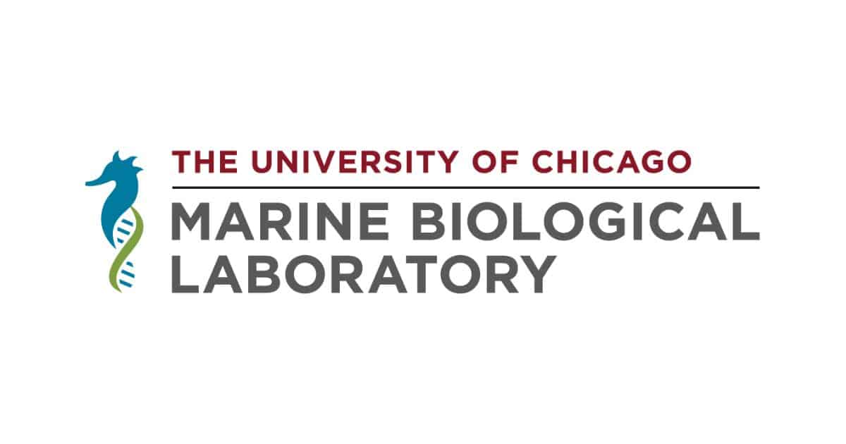 Ocean Career: Marine Biological Laboratory Echeverri Lab Research ...