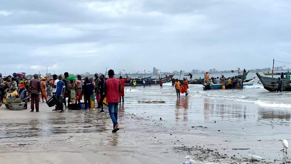 Tens of Thousands of Endangered Sharks and Rays Caught Off Congo ...