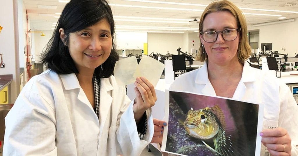 New Study Finds Biodegradable Plastics May Still be Damaging to Fish ...