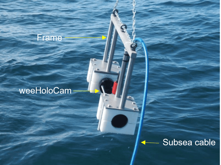 Holographic Cameras Bring Sea Lice Early Warning System Into Focus ...