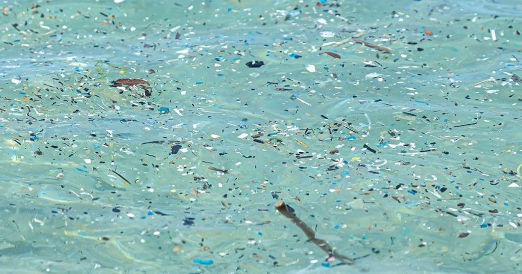 Marine Bacteria Take a Bite at Plastic Pollution - environment coastal ...