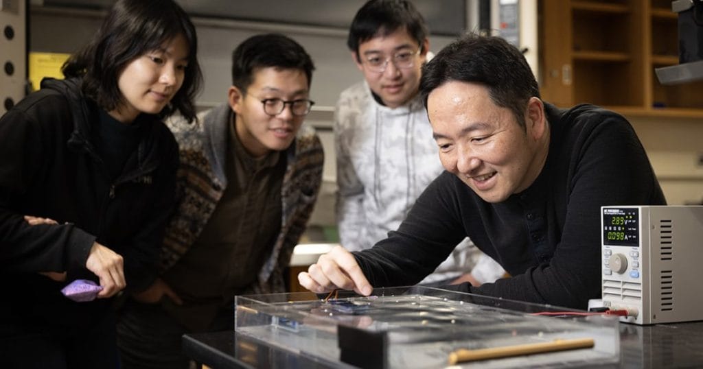 Snail-Inspired Robot Could Scoop Ocean Microplastics - environment ...