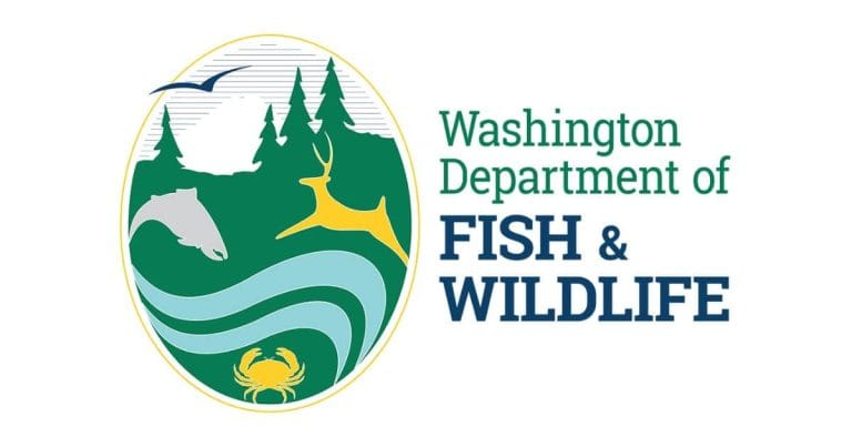 Ocean Career: WDFW Sampling Support Scientific Technician 3 ...