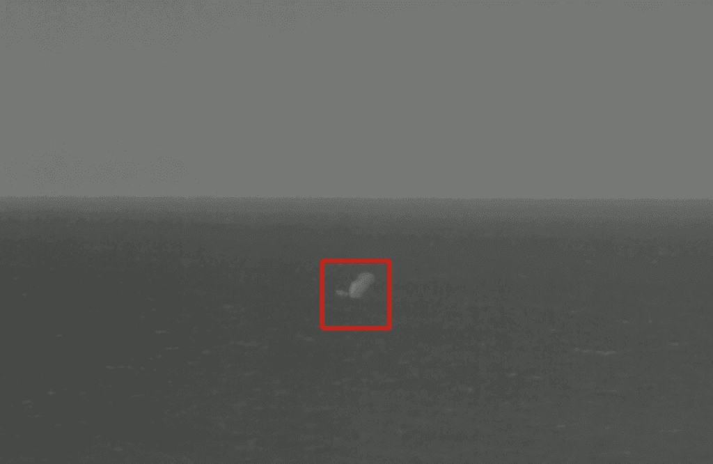 AI-Paired Infrared Cameras Contribute to Marine Mammal Conservation ...
