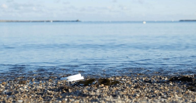 Accounting for Plastic Persistence Can Minimize Environmental Impacts ...