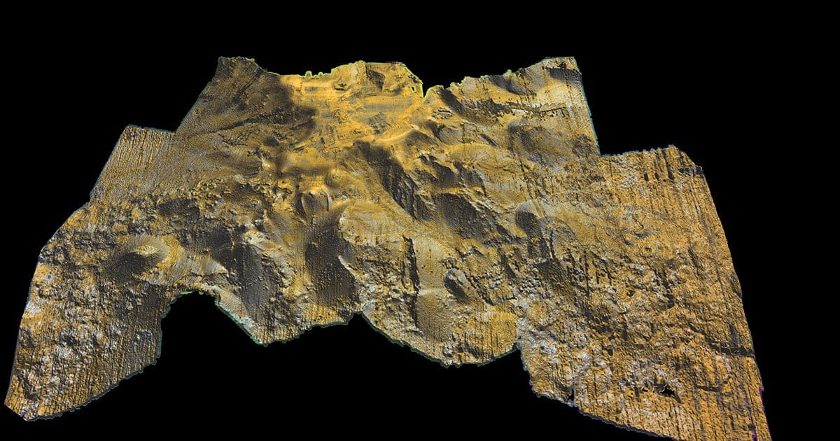 Scientists Find Pristine Ecosystems on High-Seas Seamounts ...