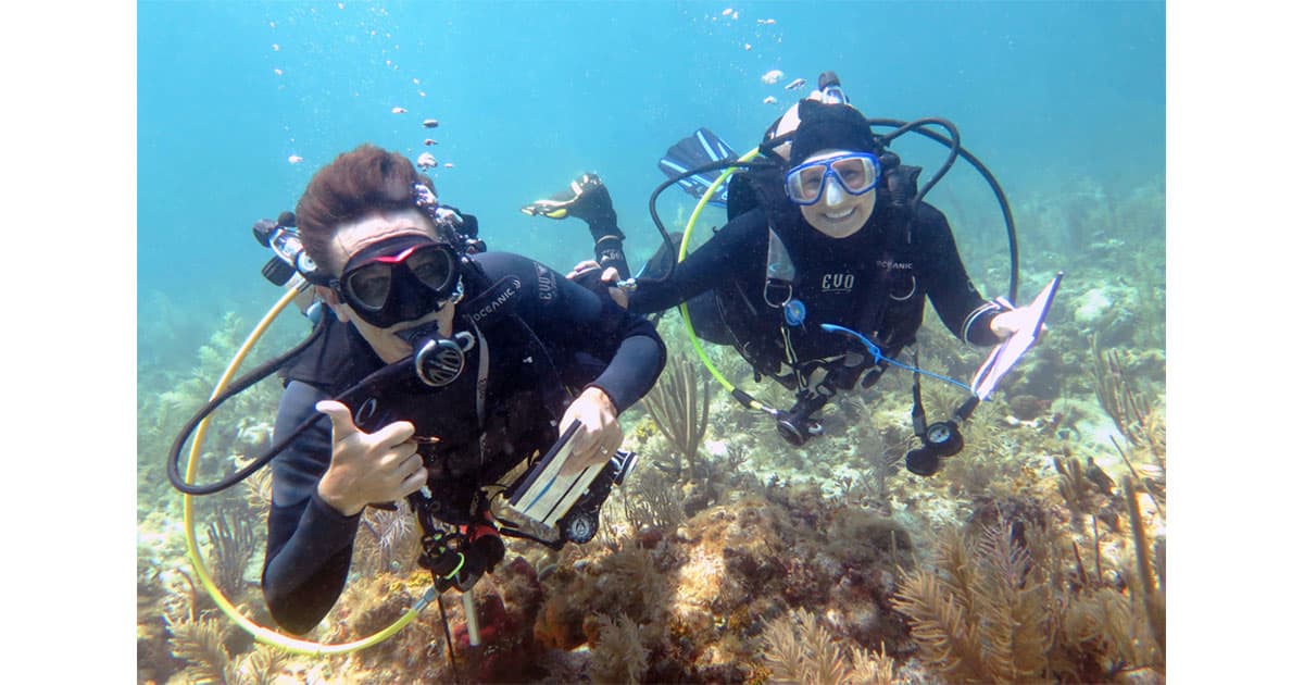 Citizen Science Could Unlock Crucial Insights into Ecological Trends ...