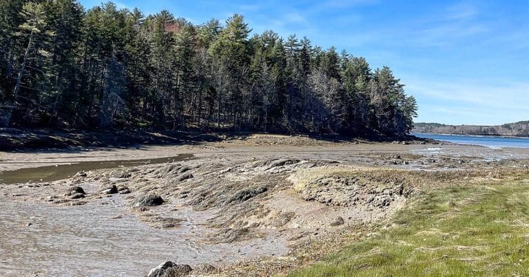 Transformation of Ocean Management is Underway - environment coastal ...