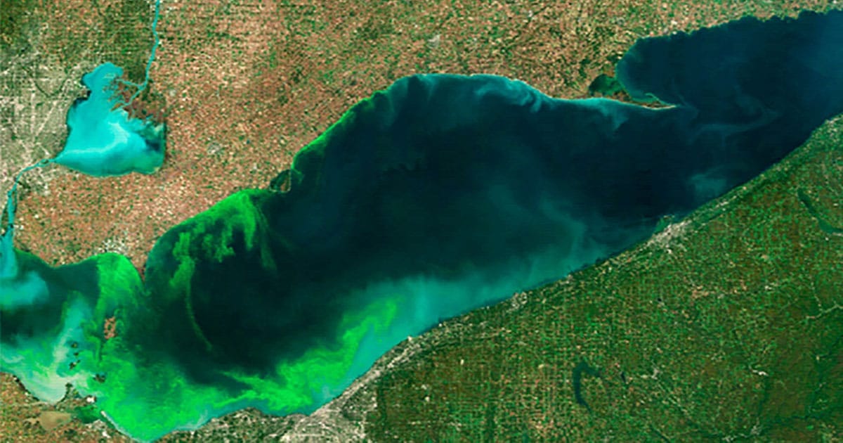 AI Can Help Forecast Toxic Blue-Green Tides - environment coastal ...