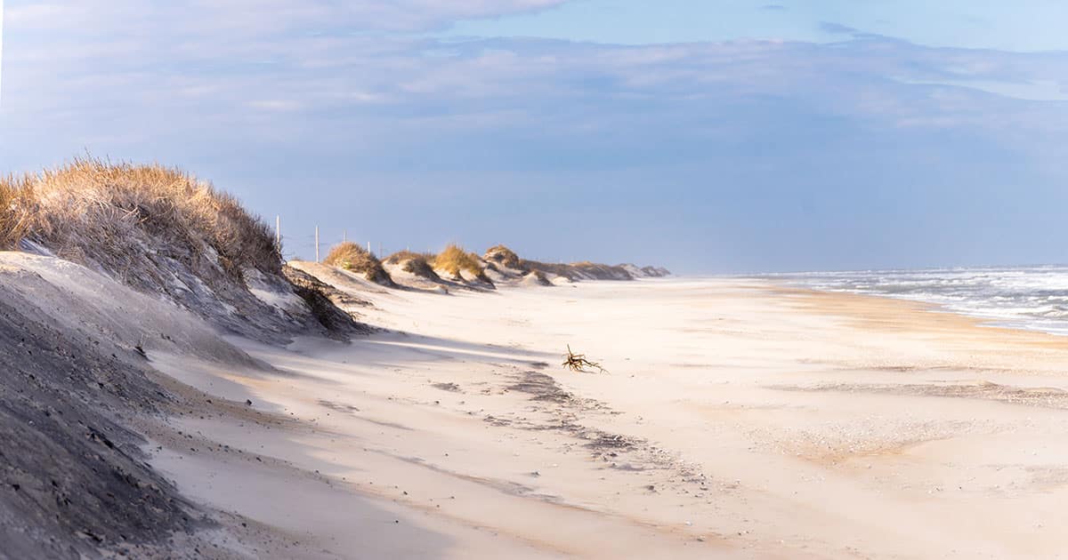 A Comprehensive and Precise Mapping for Coastal Conservation ...