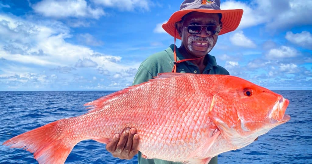Funding Awarded for Partnerships to Support Red Snapper Recovery ...