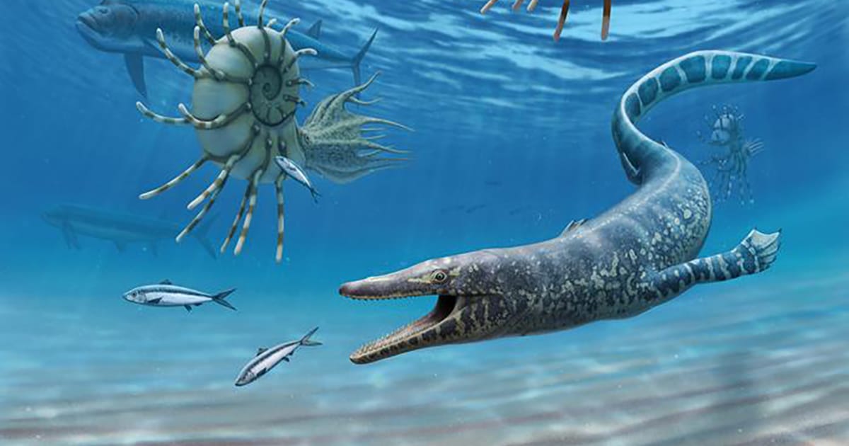 New Insights into the Evolution and Paleoecology of Mosasaurs ...