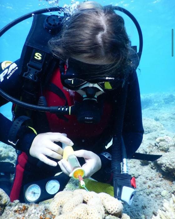 Microplastic Particles in the Marine Food Web - environment coastal ...