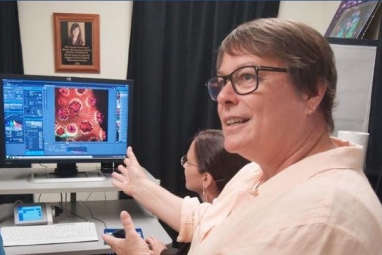 More Than $1 Million Recommended for Ruth D. Gates Coral Restoration ...
