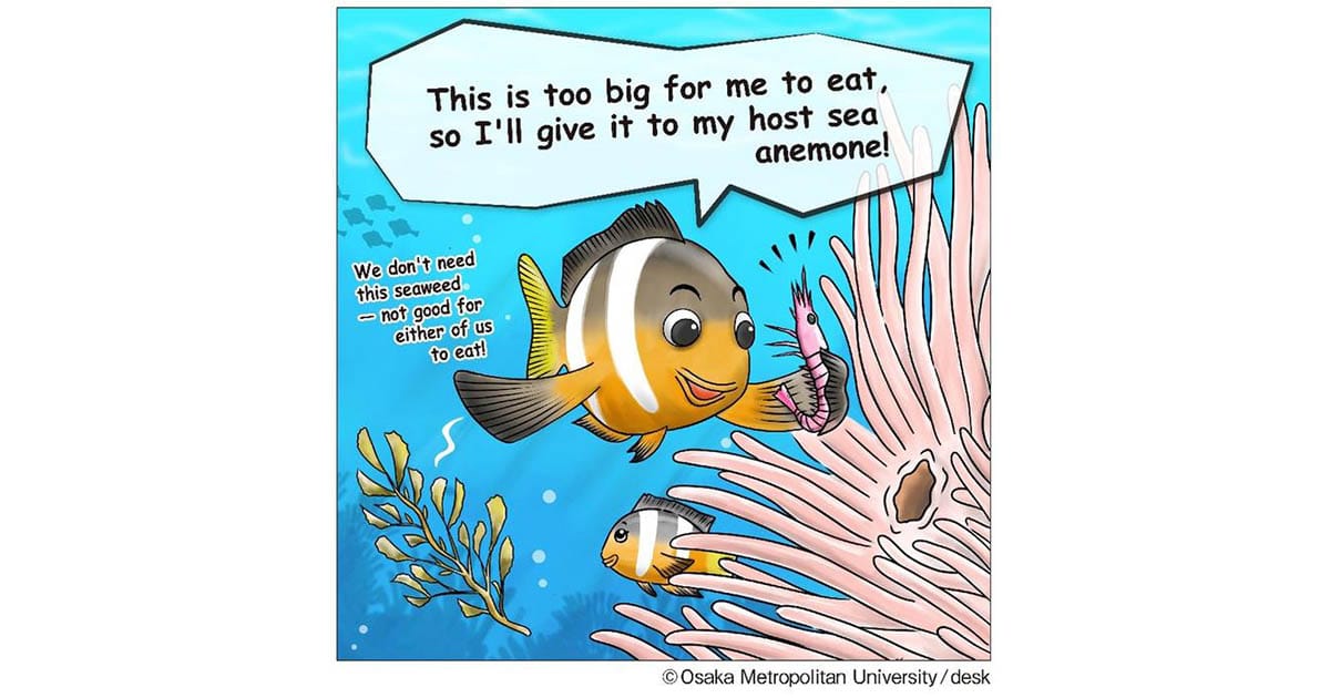Symbiote Fish Actively Feed Hosts in the Wild - environment coastal ...