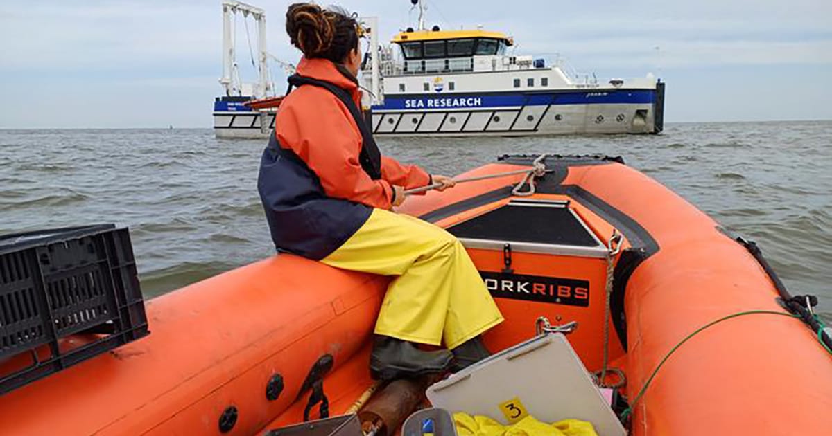 NIOZ Researchers Make Entire Wadden Sea Tidal Flat Dataset Available ...
