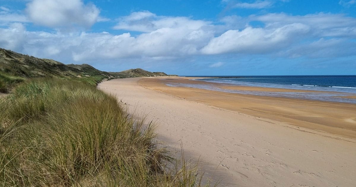 Salamander Offshore Wind Farm Secures Critical Onshore Consent ...