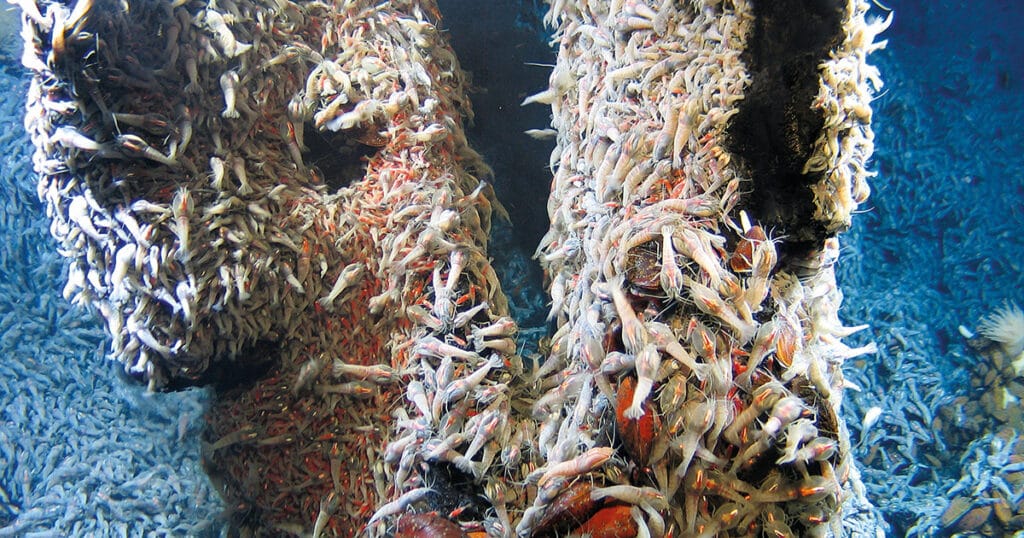 Scientists Call for More Knowledge to Enable Sustainable Management of ...