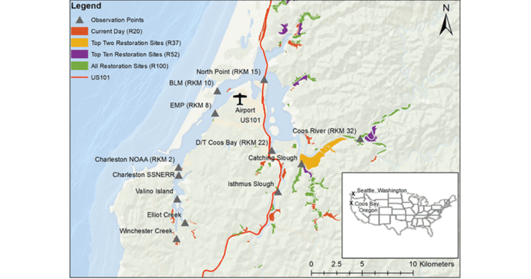 Modeling Reveals How Wetland Restoration Mitigates Flooding in Coastal ...