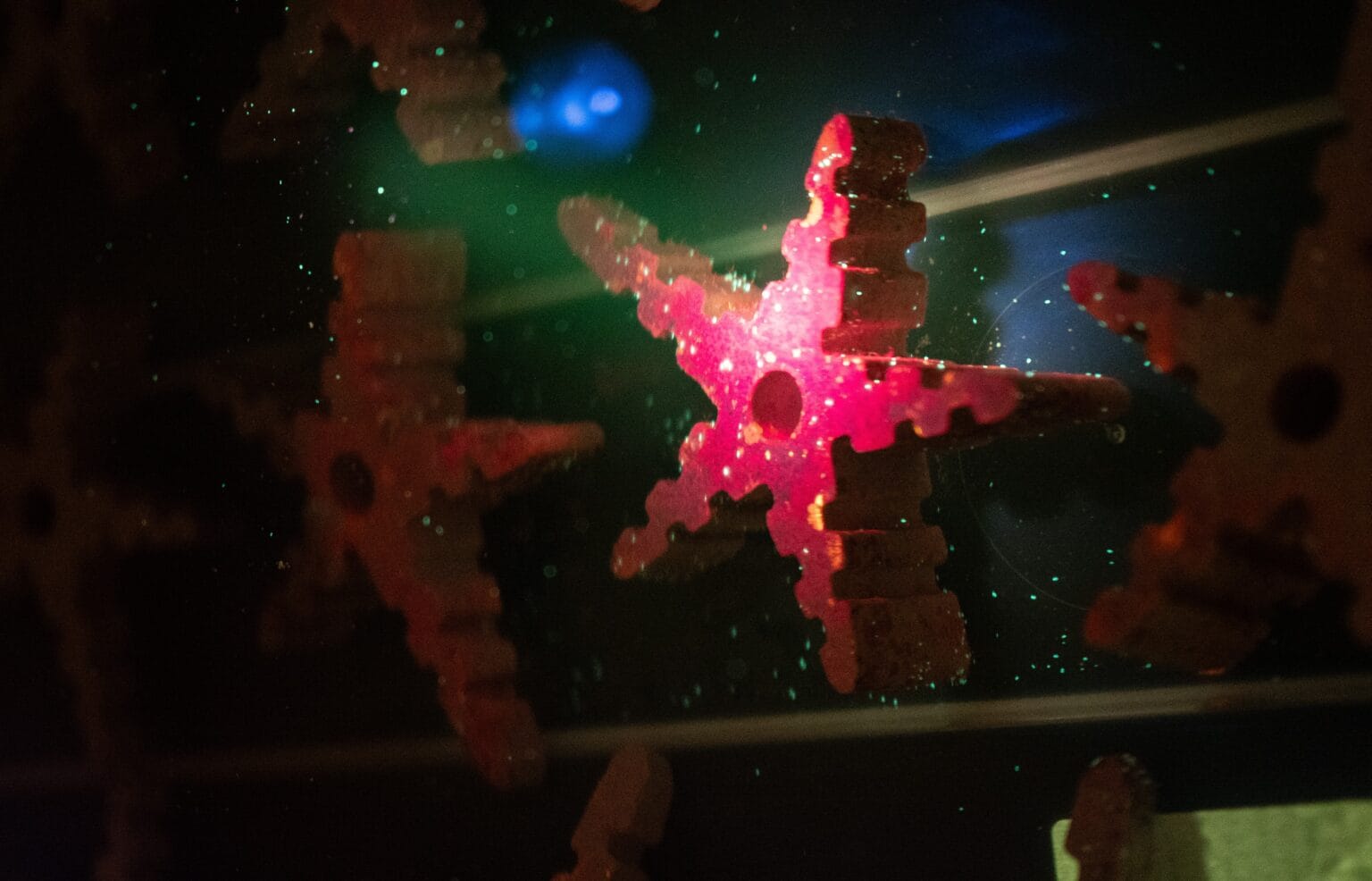 RRFB Carrys Out Successful Coral Spawning Event - environment coastal ...