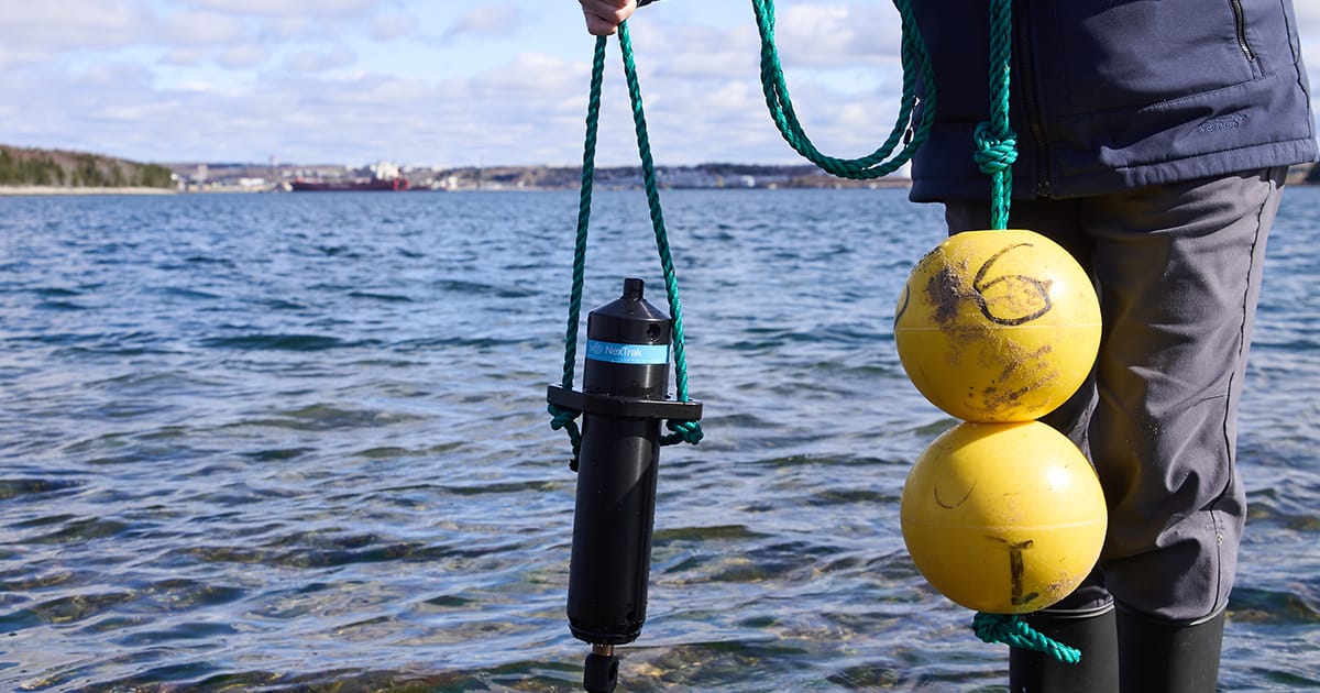Innovasea Enhances NexTrak Capabilities with New Innovations ...
