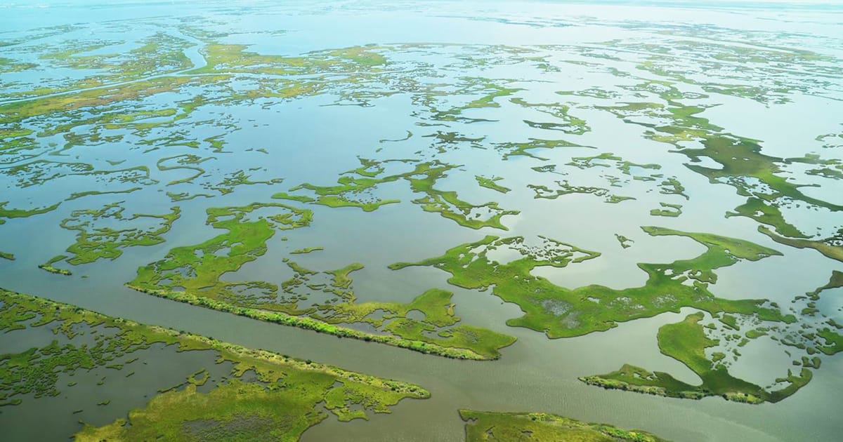 Louisiana Moves to Terminate Mid-Barataria Sediment Diversion Project ...