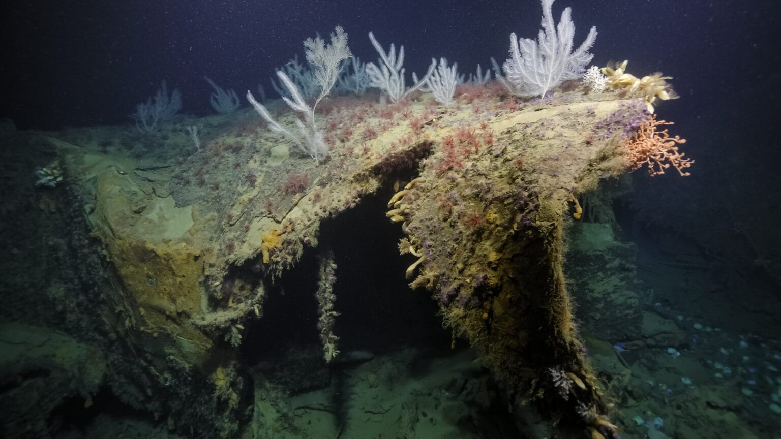 Lost Severed Bow of USS New Orleans Discovered in South Pacific ...