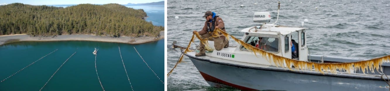 NOAA Releases New Aquaculture Gear Guide - environment coastal & offshore